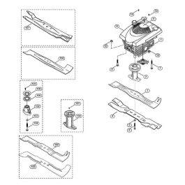 Engine, Blade for Viking MB 555 M Petrol Lawn Mowers | L&S Engineers